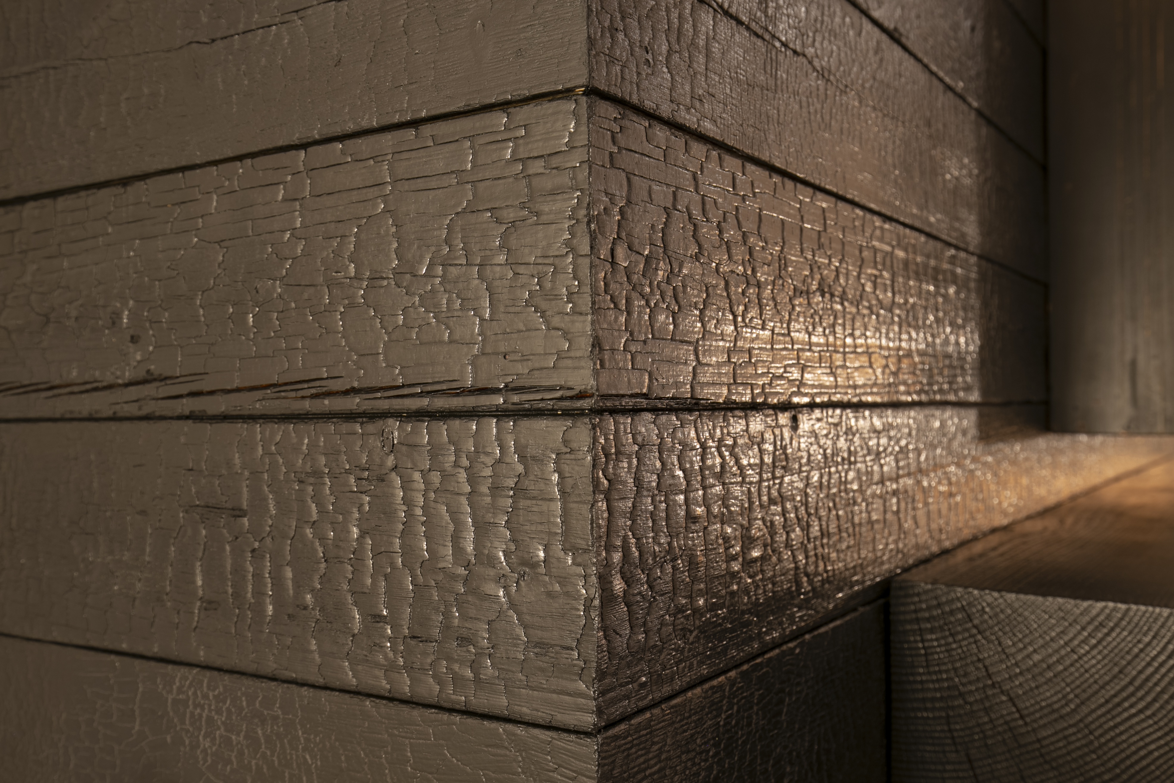 Ballard Stack House – Collaborative – Citizen Design & Valor Builds