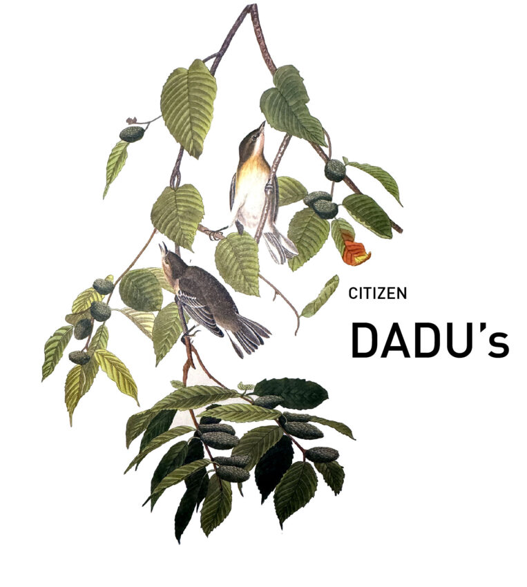 DADUs – Collaborative – Citizen Design & Valor Builds